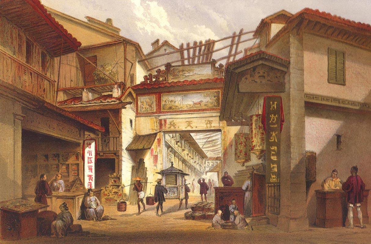 The History of the Chinese Language