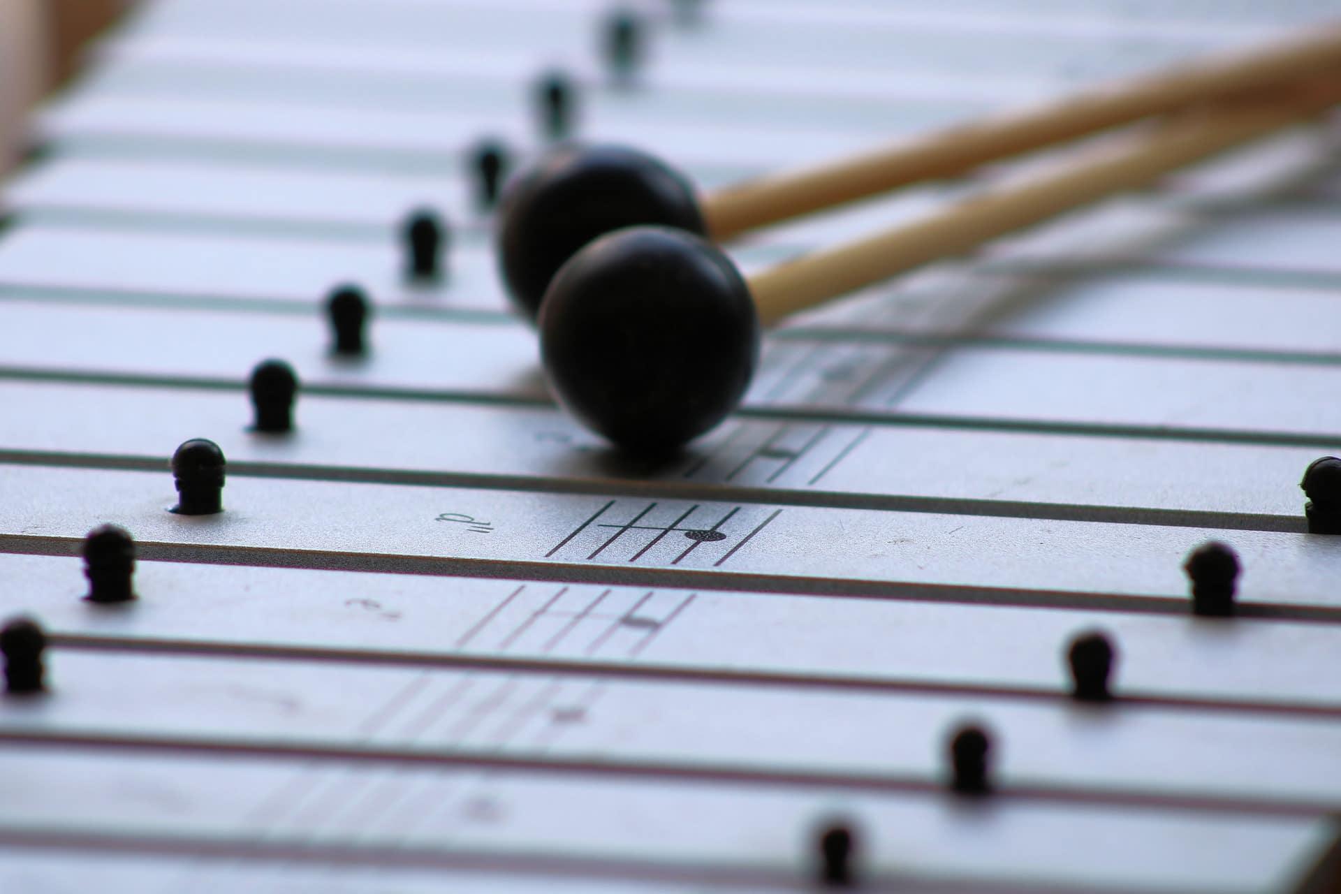 A Beginner’s Guide to the Xylophone.