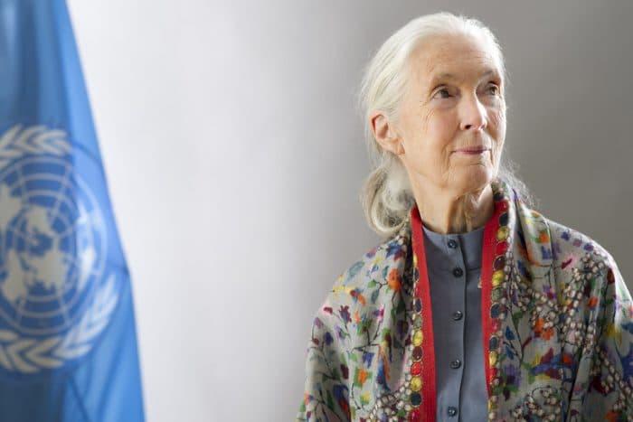 The Amazing Biological Discoveries of Jane Goodall